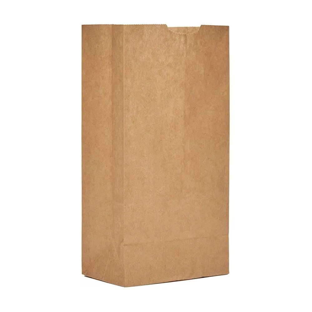 Reddi-2-Go #6 Kraft Paper Bags, 6" x 3.625" x 11", Bulk 500-Pack - FOOD ...